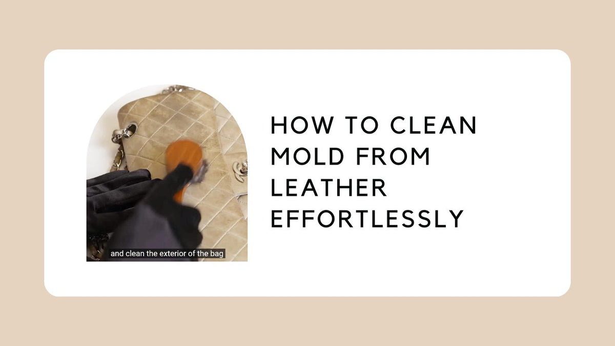 How to Clean Mold from Leather Effortlessly – ZORNNA